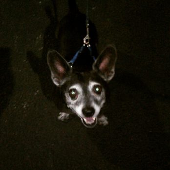 DOBSON RANCH PARK - Updated November 2025 - 236 Photos & 20 Reviews ...