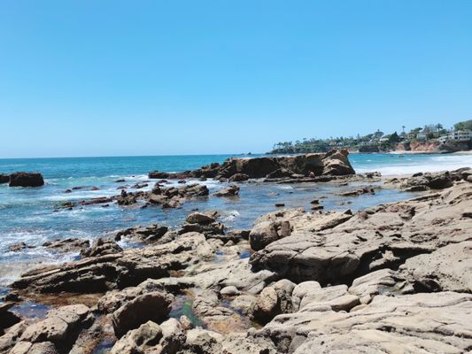 DIVERS COVE - Updated 2024 - 99 Photos & 15 Reviews - 631 Cliff Dr ...