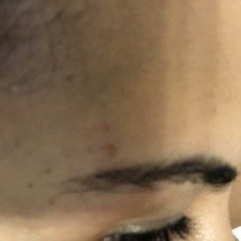 BOSTON PERFECT EYEBROWS - Updated July 2025 - 64 Photos & 79 Reviews ...