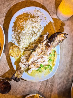 OCEANIC - Updated April 2025 - 1398 Photos & 1081 Reviews - 250 North ...