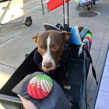 CON AZUCAR CAFE - Updated July 2025 - 1136 Photos & 620 Reviews - 101 E ...