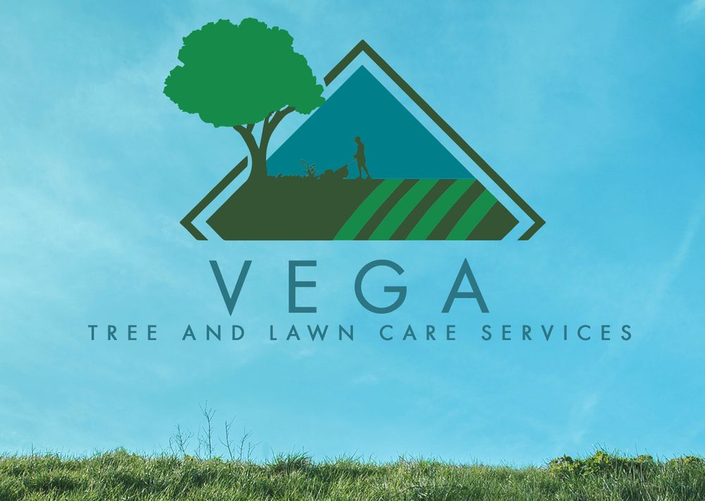 VEGA TREE AND LAWN CARE - Pawtucket, Rhode Island - Lawn Services ...