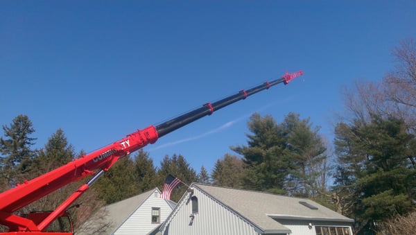 COMMUNITY TREE SERVICE - Updated September 2025 - 13 Photos & 19 ...