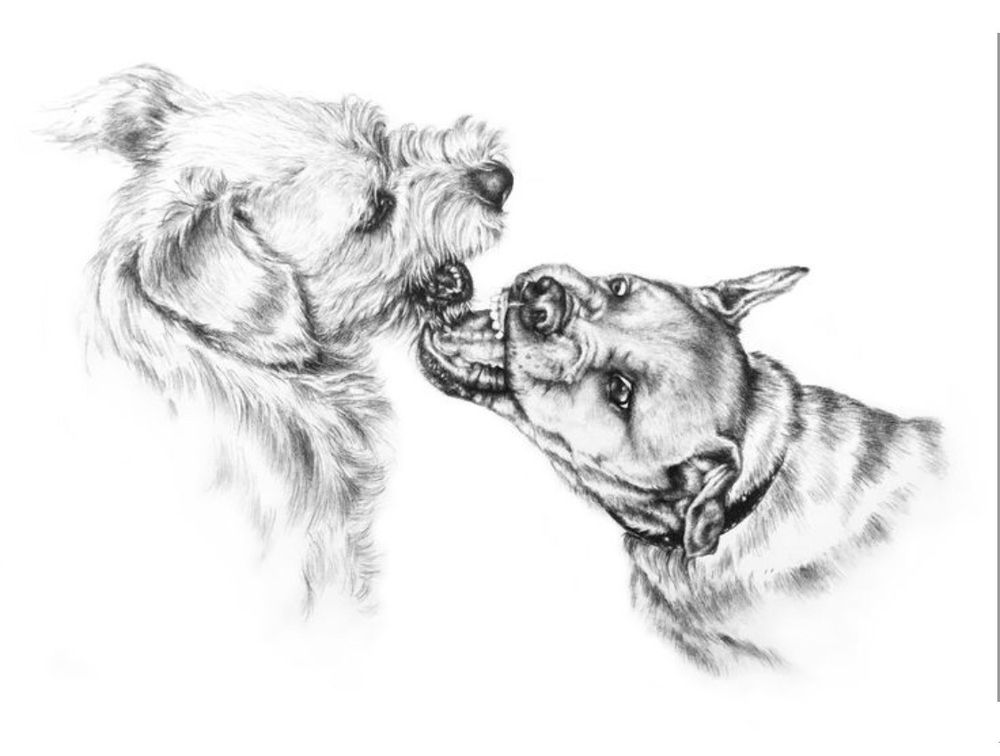 DAVID WAYNE HEISE - Updated June 2024 - Los Angeles, California ...