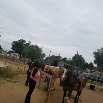 WESTERN TRAILS HORSEBACK RIDING - Updated October 2025 - 498 Photos ...
