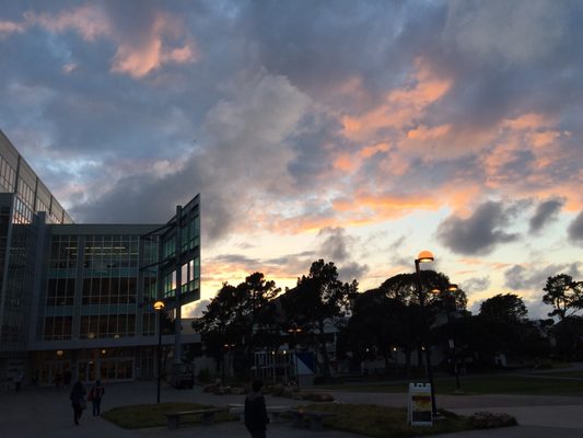 SFSU - J. PAUL LEONARD LIBRARY - Updated October 2025 - 62 Photos & 53 ...