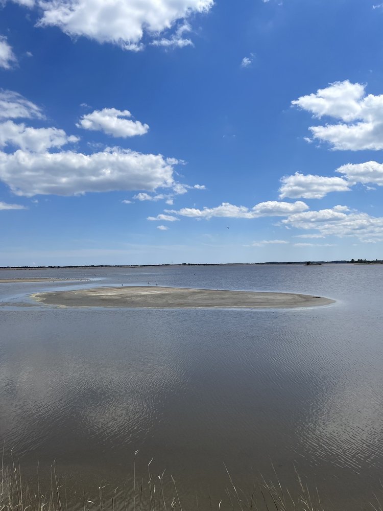 PRIME HOOK NATIONAL WILDLIFE REFUGE - Updated March 2024 - 62 Photos ...