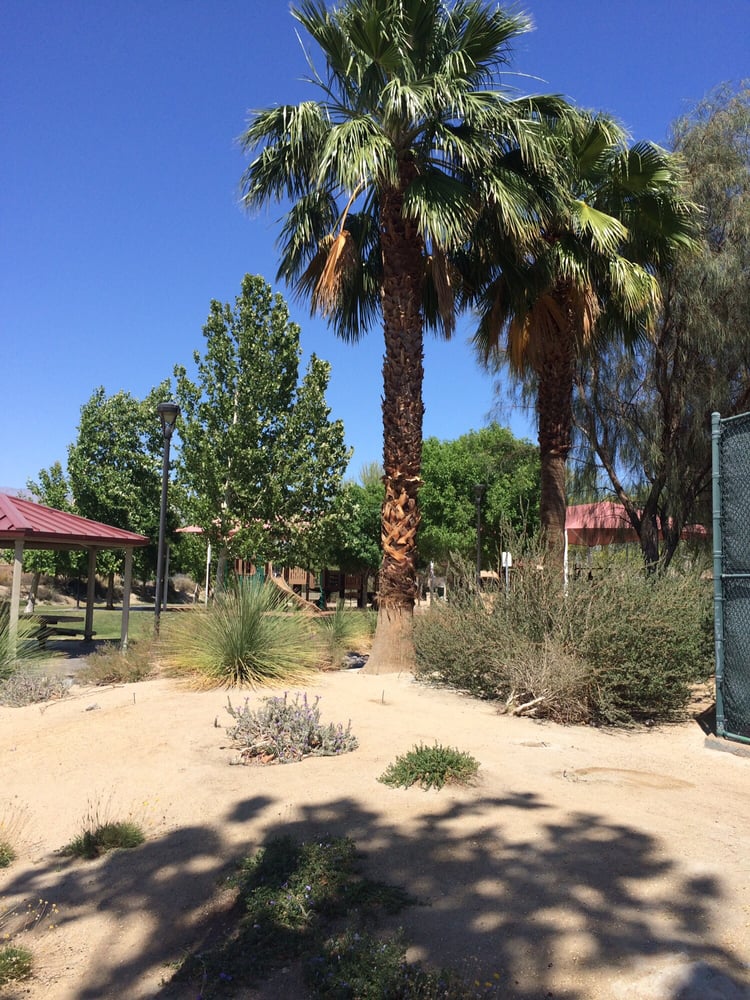 GEORGE S PATTON PARK - Updated September 2025 - 83700 Ave 43, Indio ...