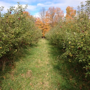 LONE MAPLE FARM - Updated January 2026 - 23 Photos & 16 Reviews - 2001 ...