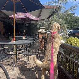 DEEP DEUCE GRILL - Updated June 2025 - 263 Photos & 291 Reviews - 307 ...