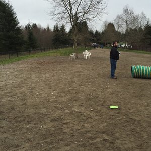 SILVERDALE DOG PARK - 28 Photos & 20 Reviews - 11601 Silverdale Way NW ...
