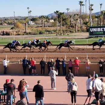 TURF PARADISE - Updated April 2025 - 354 Photos & 122 Reviews - 1501 W ...