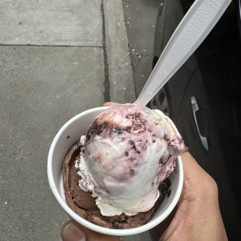 TORICO ICE CREAM - Updated April 2024 - 816 Photos & 928 Reviews - 20 ...