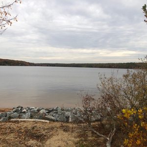 OAKLAND BEACH - Updated February 2025 - 134 Photos & 61 Reviews ...