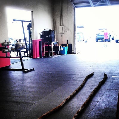 MPF TRAINING SYSTEMS - Updated December 2024 - 15641 Product Ln ...