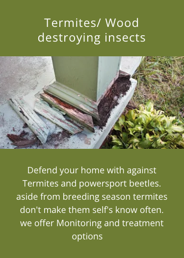 SWAT PEST AND WILDLIFE - Updated September 2024 - 31 Photos - Oxford ...