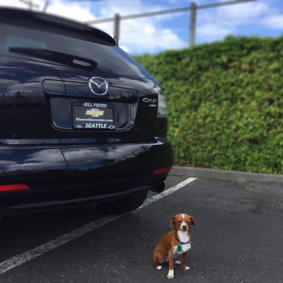 PIERRE FORD - Updated January 2026 - 49 Photos & 445 Reviews - 11525 ...