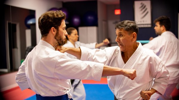 SHOWAKAI KARATE DO USA - Updated July 2025 - 42 Photos - 13716 SW 88th ...