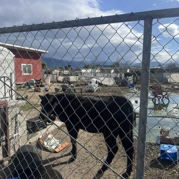 RANCHO LOS FONSECA - Updated January 2026 - 154 Photos & 50 Reviews ...