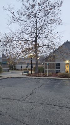 BRONSON LABORATORY - BATTLE CREEK BROOKSIDE - Updated November 2025 ...