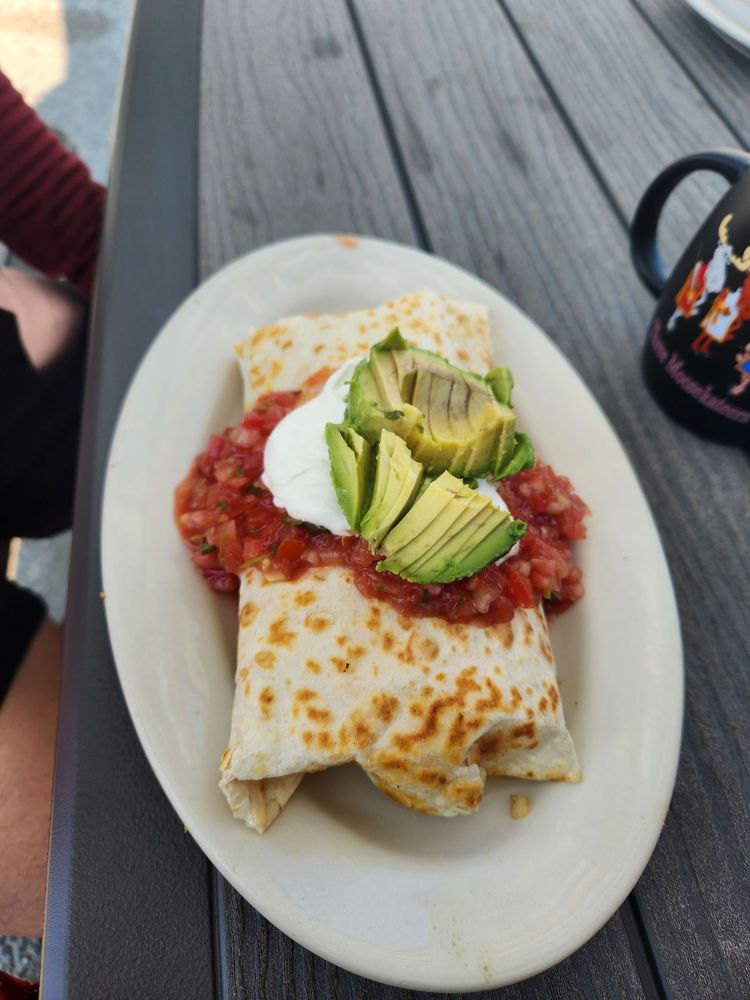 BLUE MOOSE CAFE - Updated January 2026 - 291 Photos & 461 Reviews - 311 ...