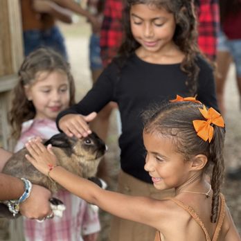 THE LITTLE FARM - Updated December 2025 - 172 Photos & 68 Reviews ...