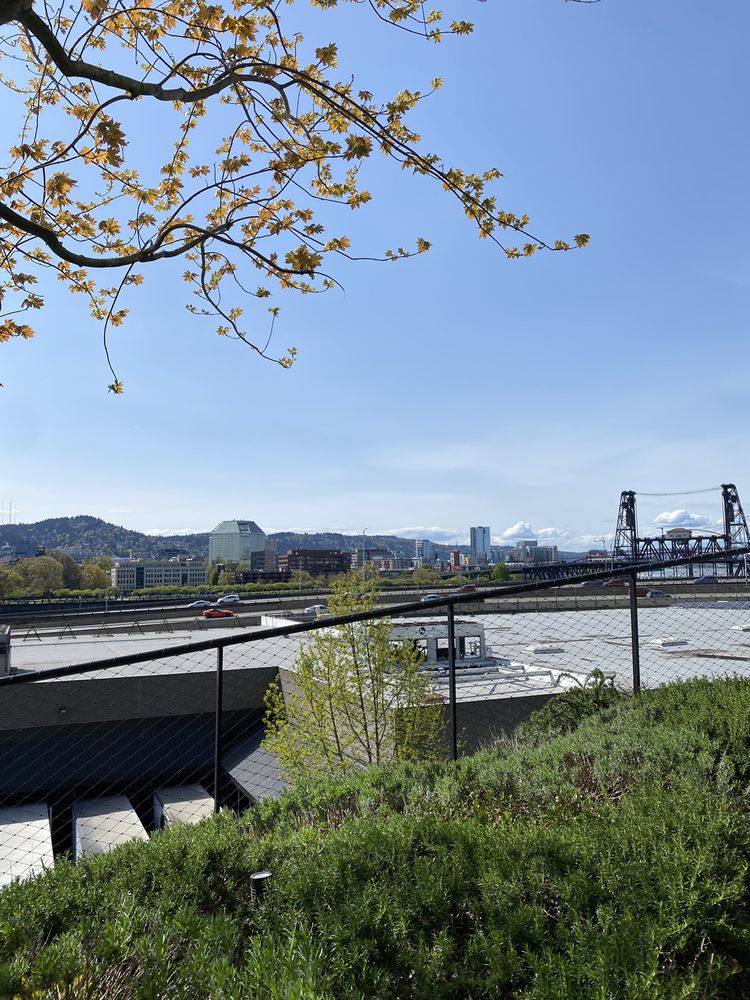 KNOT SPRINGS - 79 Photos & 131 Reviews - 33 NE 3rd Ave, Portland ...