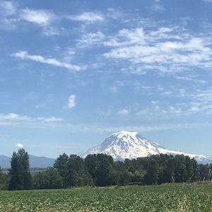 RIVERWALK TRAIL - 59 Photos & 14 Reviews - 3015 E Main Ave, Puyallup ...