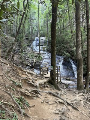 FALL BRANCH FALLS - Updated October 2025 - 79 Photos & 34 Reviews ...