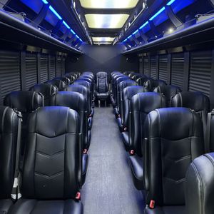 OMNIBUS EXPRESS HILLCROFT - Updated April 2025 - 6580 Southwest Fwy ...