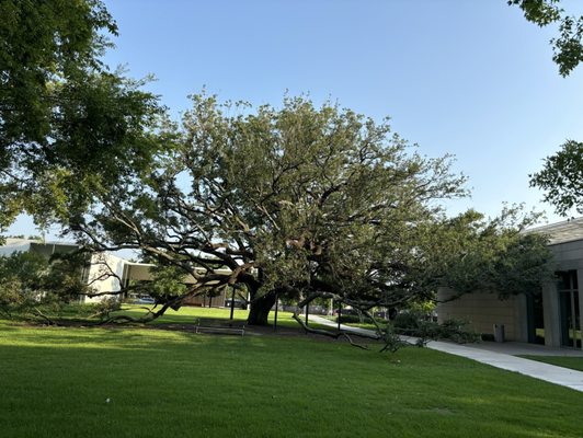 MENIL PARK - Updated January 2025 - 56 Photos & 40 Reviews - 1450 ...
