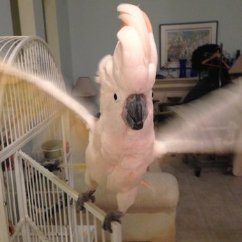 MAGNOLIA BIRD FARM - Updated June 2025 - 144 Photos & 194 Reviews ...