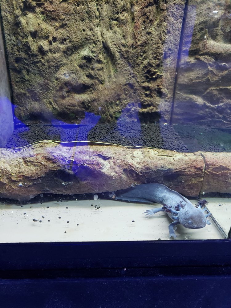 RIFT 2 REEF AQUATICS - Updated September 2025 - 28 Reviews - 2250 ...