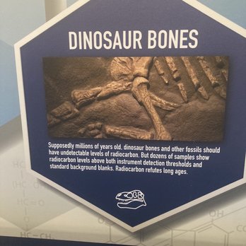 ICR DISCOVERY CENTER - Updated November 2024 - 58 Photos & 22 Reviews ...