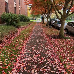 BEAVERTON CITY LIBRARY - 58 Photos & 60 Reviews - 12375 SW 5th St ...