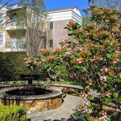 THE FOREST AT DUKE - 44 Photos - 2701 Pickett Rd, Durham, NC - Yelp