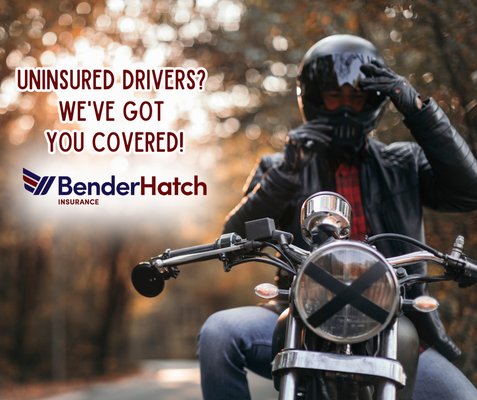 BENDER HATCH INSURANCE AGENCY - Updated July 2025 - 54 Photos & 66 ...