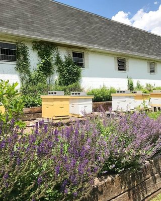 Hunt Valley, MD Map & Directions - MapQuest