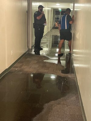 FREAR HALL - Updated October 2025 - 25 Photos & 14 Reviews - 2569 Dole ...