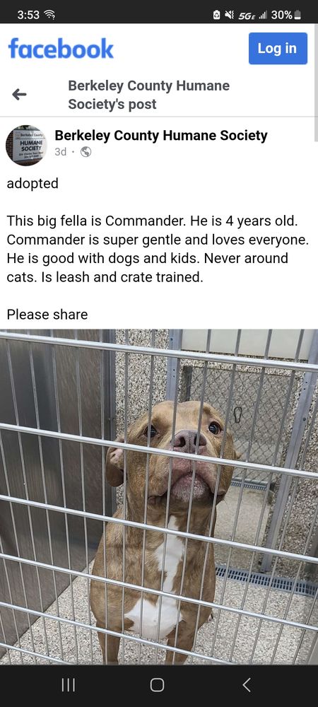 BERKELEY COUNTY HUMANE SOCIETY - Updated June 2026 - 31 Photos & 16 ...
