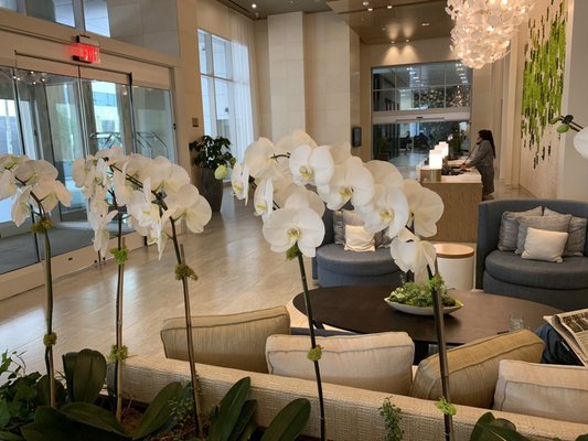 INTERCONTINENTAL HOUSTON - 134 Photos & 48 Reviews - 6750 Main St ...