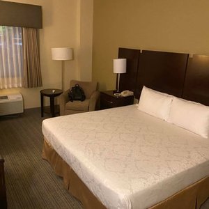 BEST WESTERN PLUS PLAZA BY THE GREEN - 141 Photos & 72 Reviews - Hotels ...