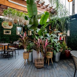 EL TECHO - Updated June 2025 - 749 Photos & 466 Reviews - 606 Florida ...