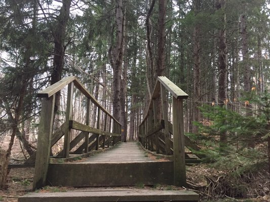 ERIE COUNTY FOREST - Updated May 2026 - 10 Photos - East Concord, New ...