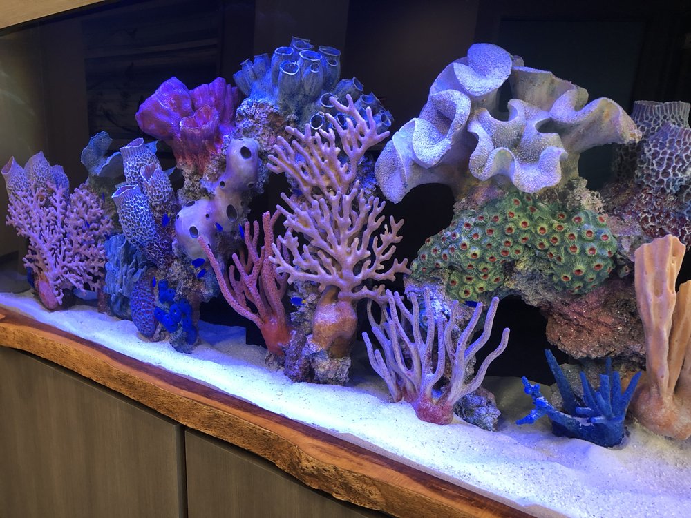 NEPTUNE AQUARIUM DESIGN - Updated November 2024 - 41 Photos - 11315 ...