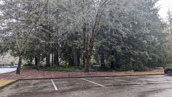 THE EVERGREEN STATE COLLEGE - Updated December 2025 - 101 Photos & 58 ...