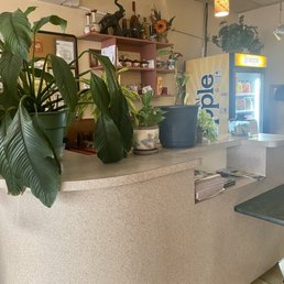 PYZA - Updated July 2025 - 112 Photos & 111 Reviews - 118 Nassau Ave ...