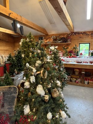 BOLTON SPRING FARM - Updated December 2025 - 68 Photos & 63 Reviews ...