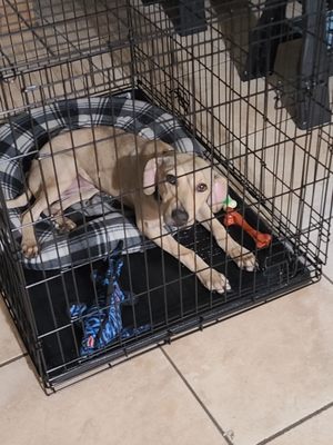 HALIFAX HUMANE SOCIETY - Updated August 2025 - 36 Photos & 47 Reviews ...