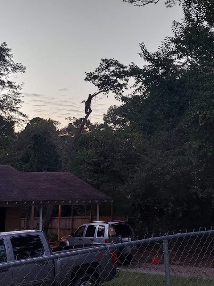 SIMMONS TREE SOLUTIONS - 13 Photos - Columbus, Georgia - Tree Services ...